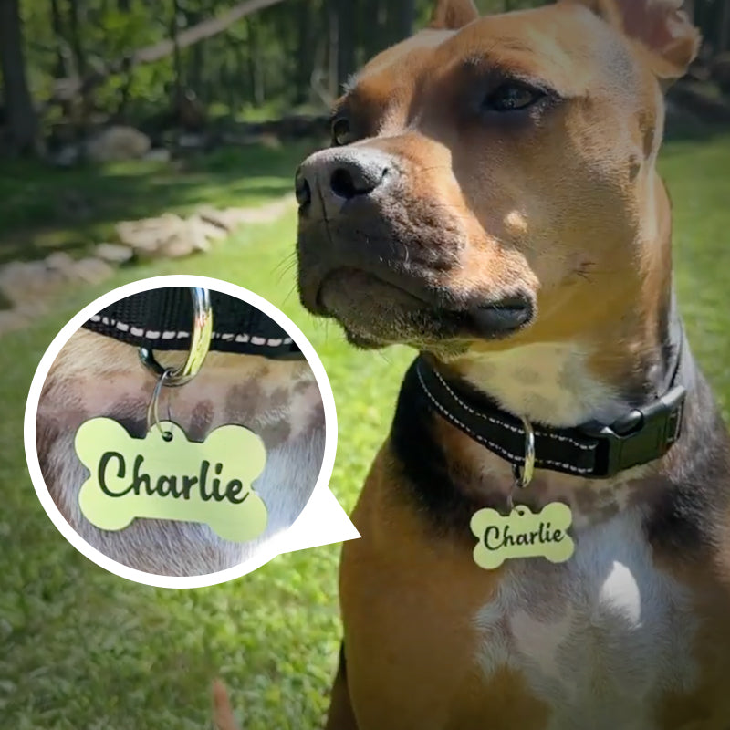 Custom Tag Toolkit: Create Personalized Tags with CNC